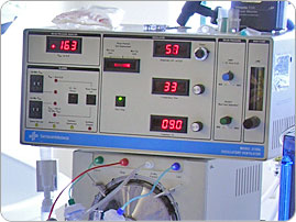 Within Pediatrics: It's a Family Matter