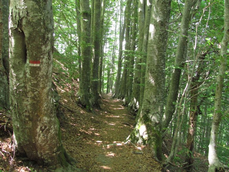 Escursionismo a 360°: Monte Corchia (dal crinale nord dell’anticima) EE