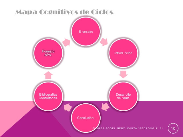 actividades escolares: MAPA COGNITIVO DE CICLOS