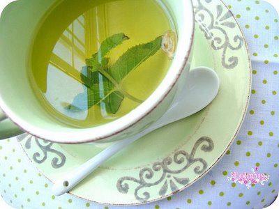 O TAPETE COLORIDO: DICAS - SAIBA O QUE SÂO; INFUSÃO; DECOÇÃO E MACERAÇÃO