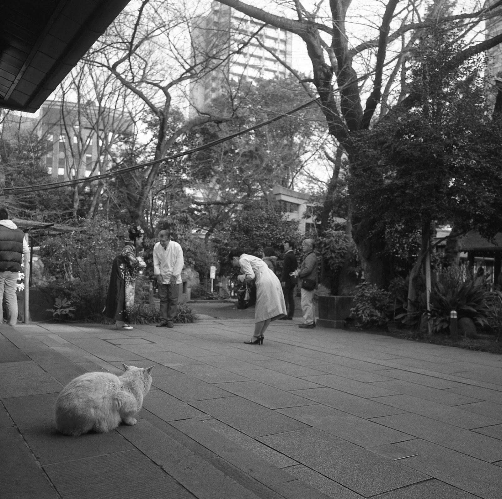 銀塩回帰 ~ Silver-Halide-Camera