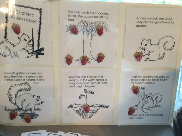 Green STEM Learning: Oak Trees and Acorns as Teaching Tools