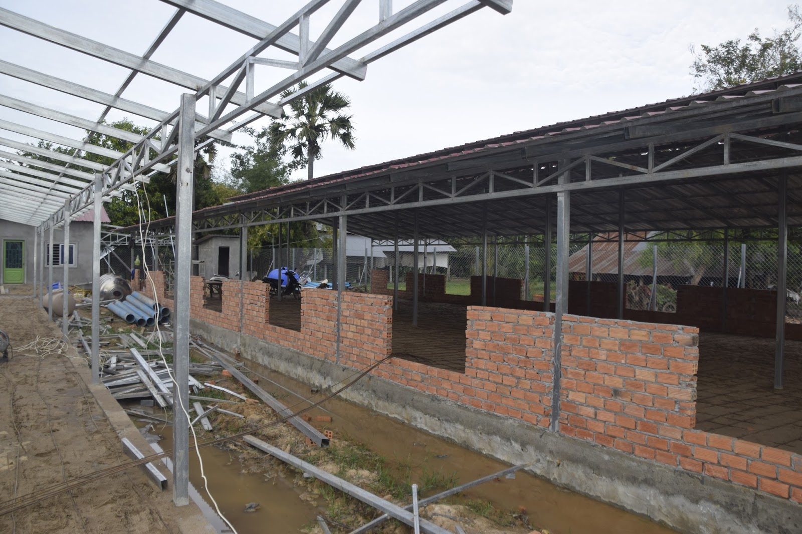 Sambo's Farming កសិដ្ធានសំបូរ-vườn Trại Sambo