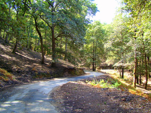 Beauty of Seraidi In Algeria | In Algeria