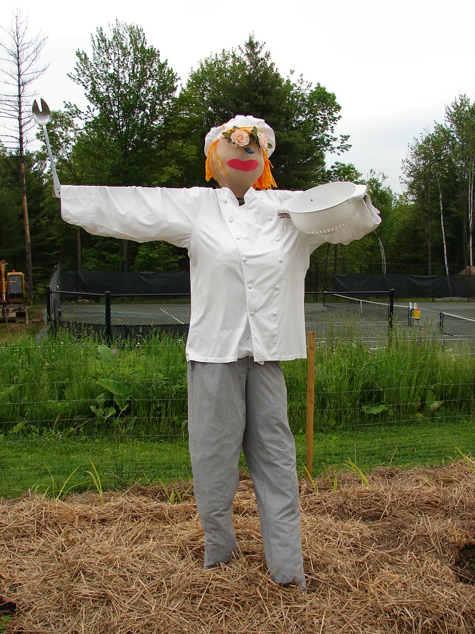 Expeditions by Tricia: VERMONT CULINARY EXPEDITION!