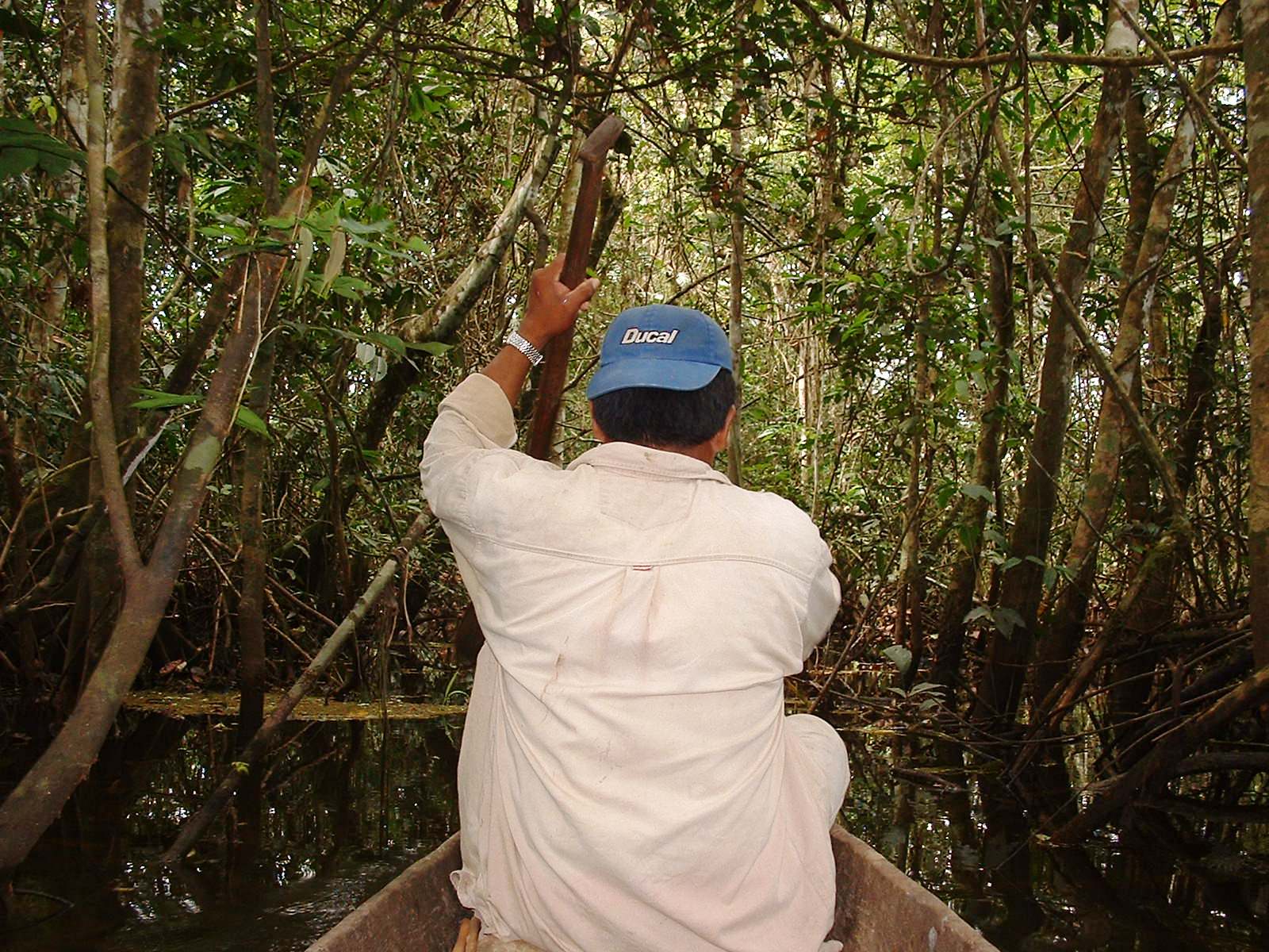 TIPISHCA: ENERO EN LA REGIÓN OMAGUA