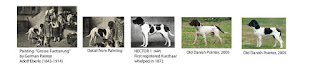 Pointing Dog Blog: Breed of the Week: The Old Danish Pointer