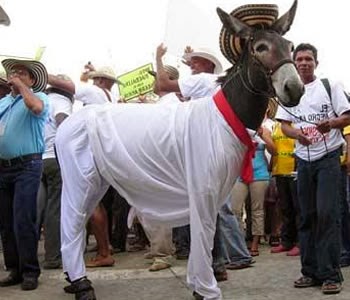 festival del burro