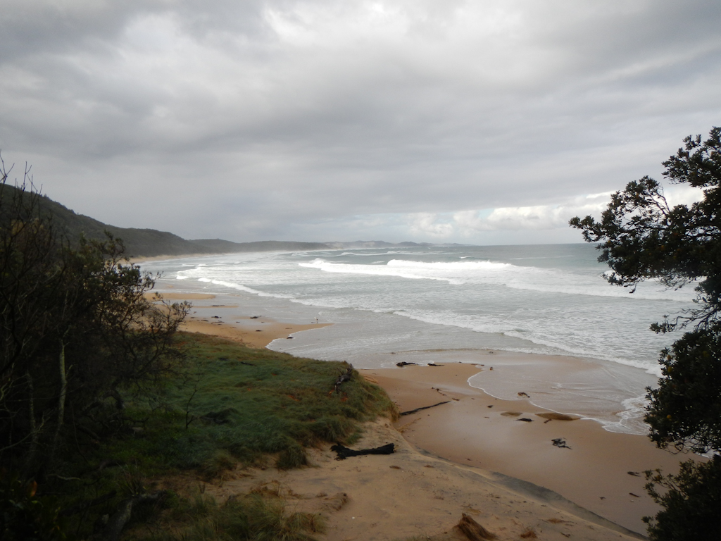 Sea Kayaking: Point Hicks (VIC) to Eden (NSW)