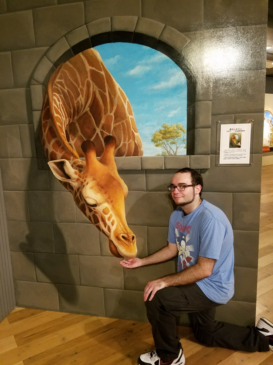 Sekai Ichi: Japan Travel Blog: Tokyo Trick Art Museum