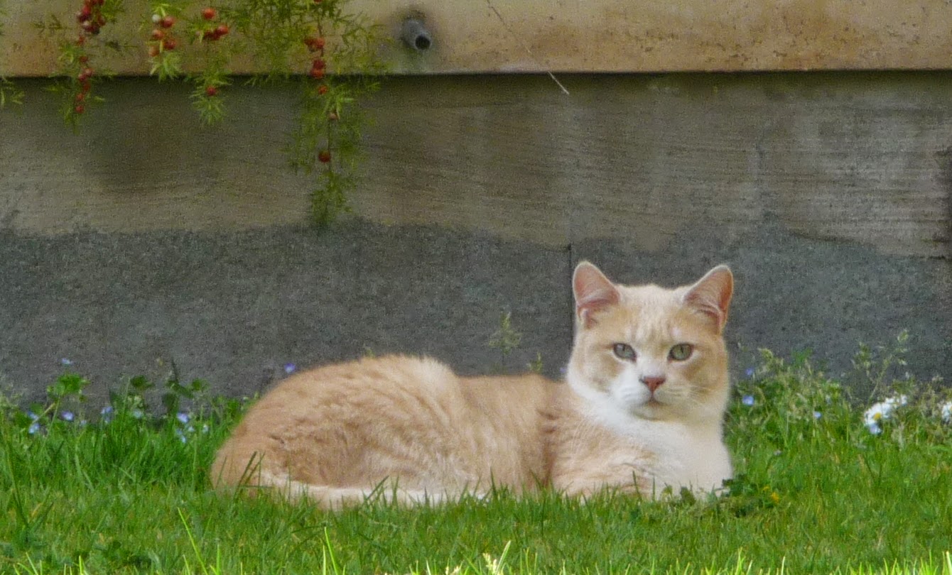 NATURE CONSERVA©TION