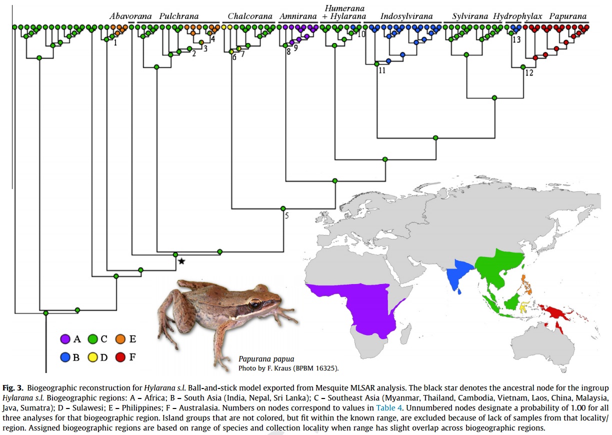 Biogeography Animals