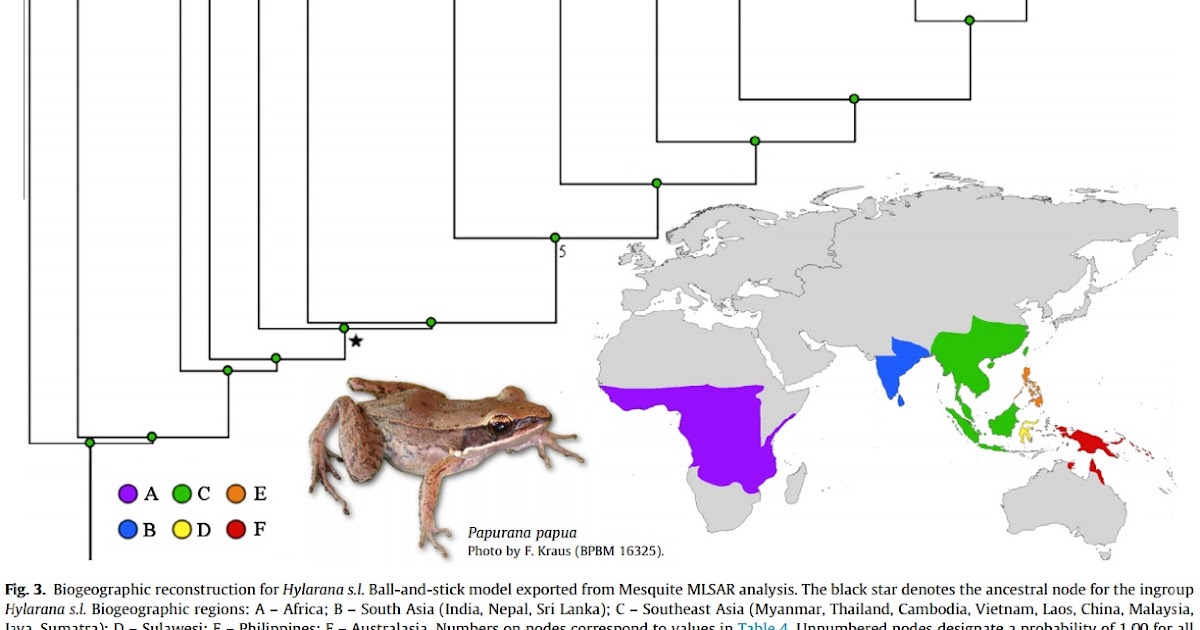 Species New to Science: [Herpetology • 2015] Systematics and ...