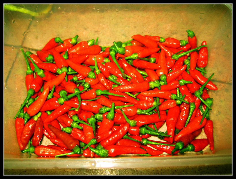 Olive in the house: Bird Eye Chili (Cili Padi Kampung) Seeds For Sale