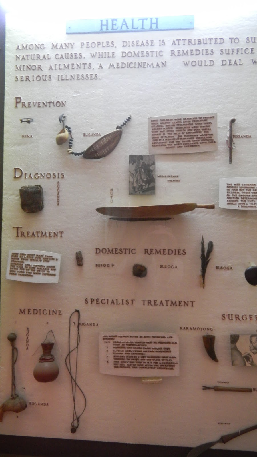 Janet's African Adventure: Traditional African Medicine