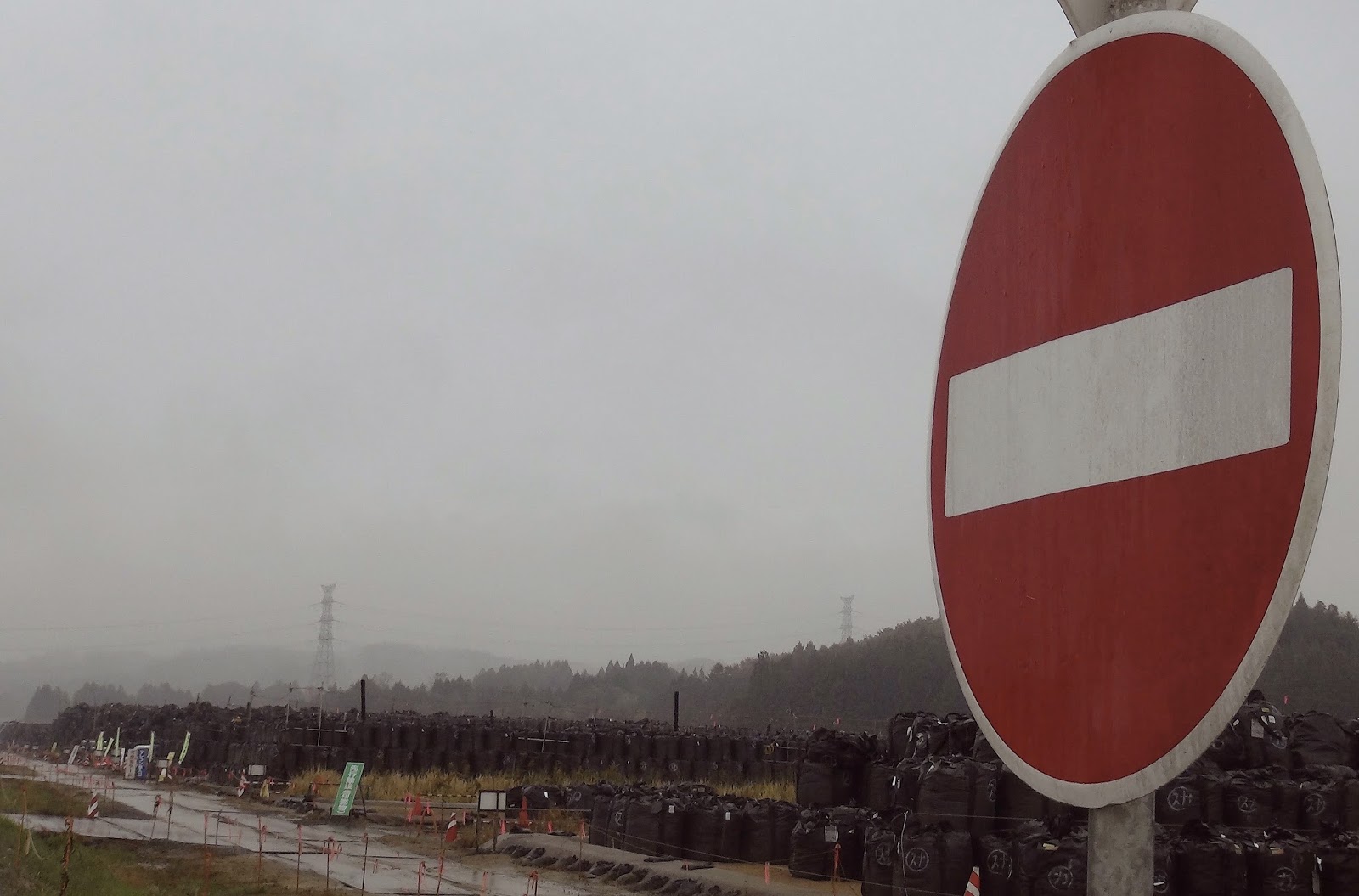 Yasuyo Tanaka: March Events, "Challenges of Nuclear Waste"