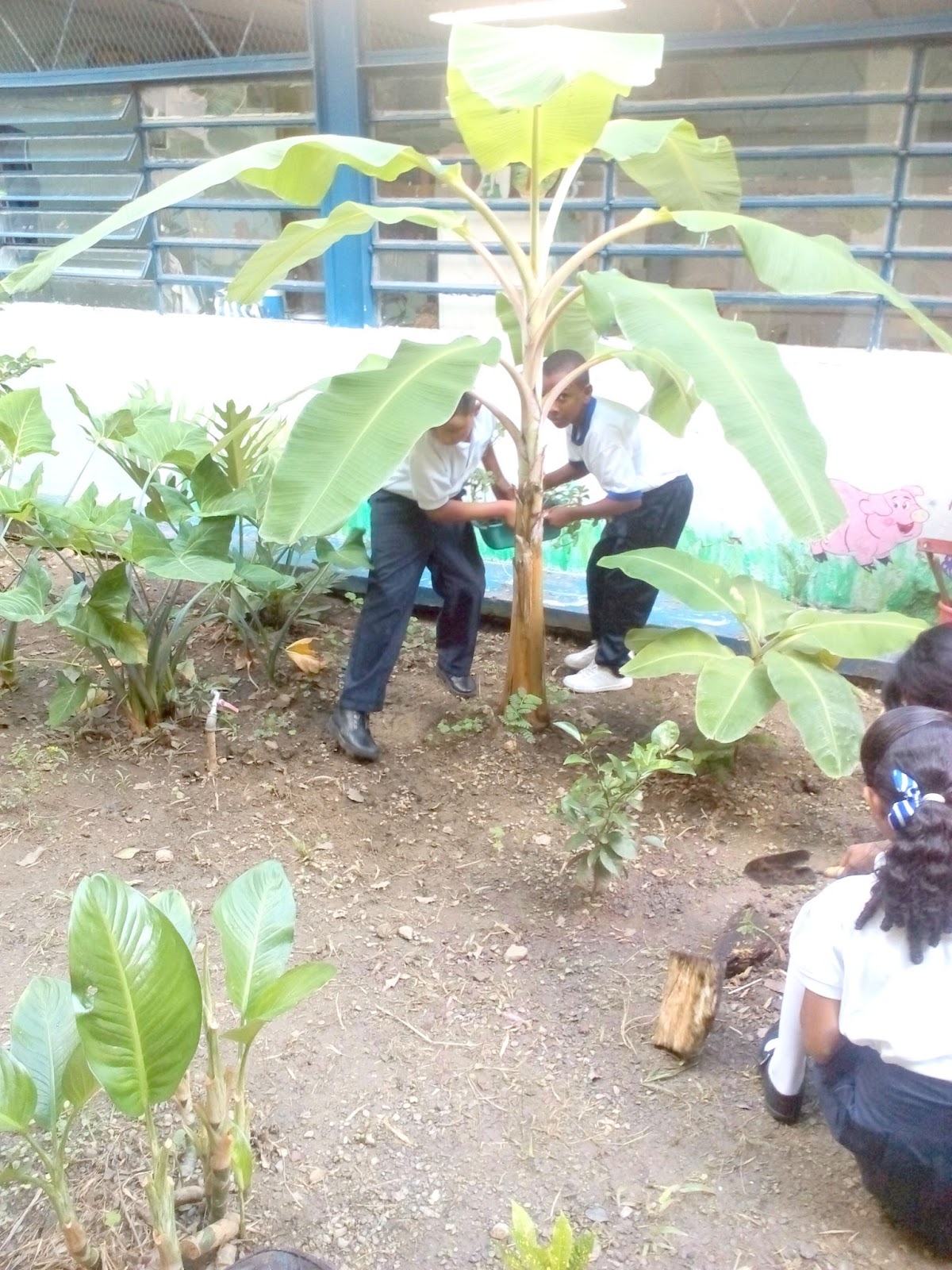 Activación productiva - San Juan - Caracas: ESCUELA NACIONAL AGUSTÍN ...