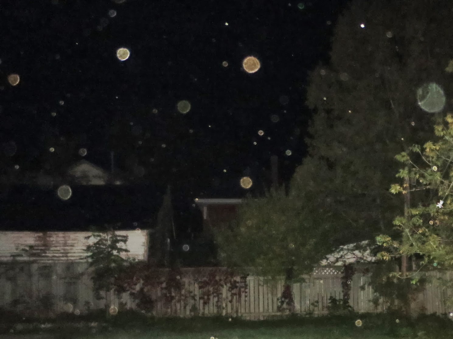 Laughing Lightly: Coloured Orbs Come Out And Play