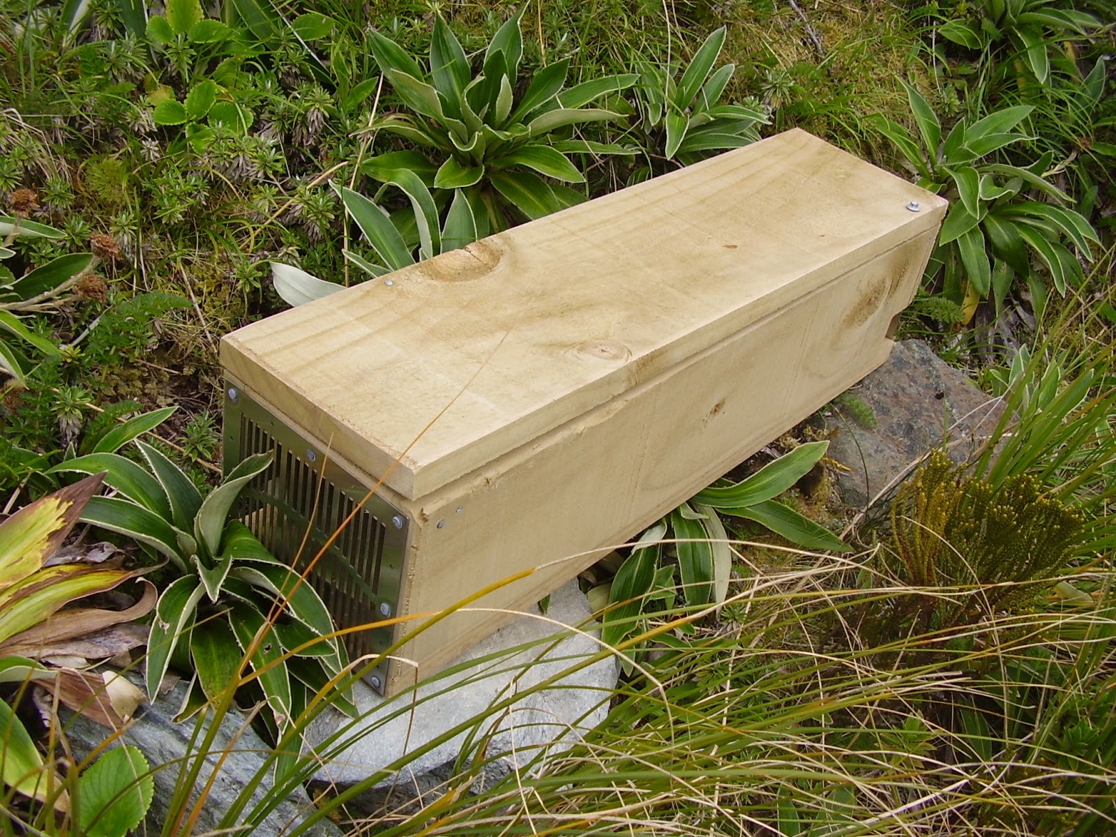 What We Do is Who We Are: New Zealand Great Walks - Routeburn Track