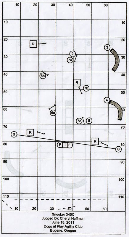 Danes Can Q: SUPER Fast DAPAC CPE Agility Weekend Recap
