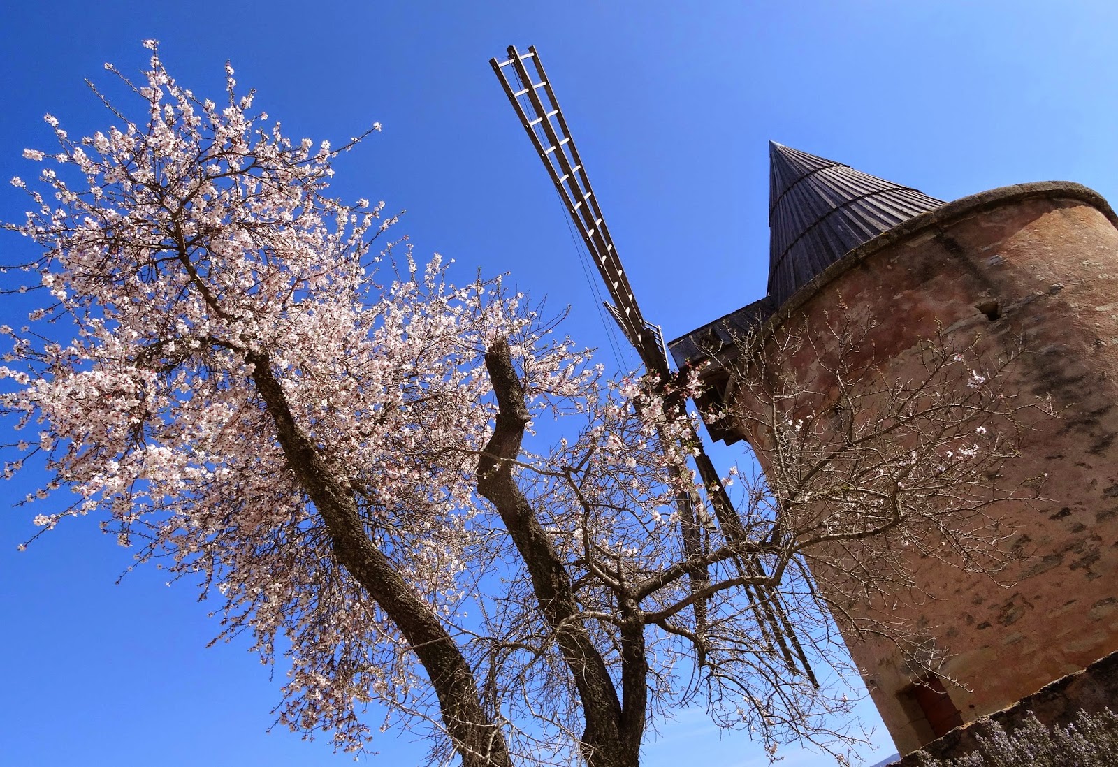 Joe's Retirement Blog: Goult, Provence-Alpes-Côte d'Azur, France