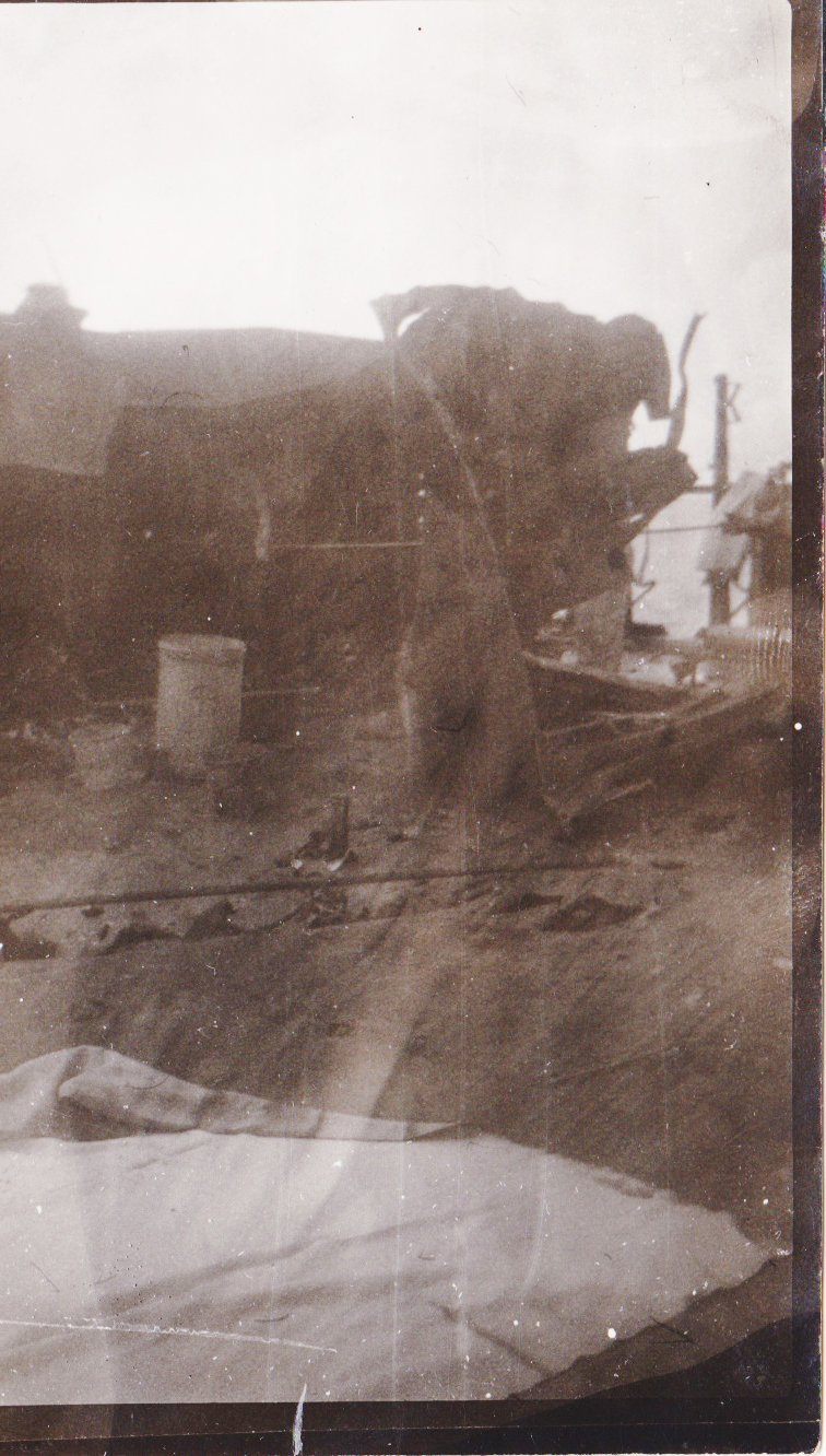 Lester Turner Family history