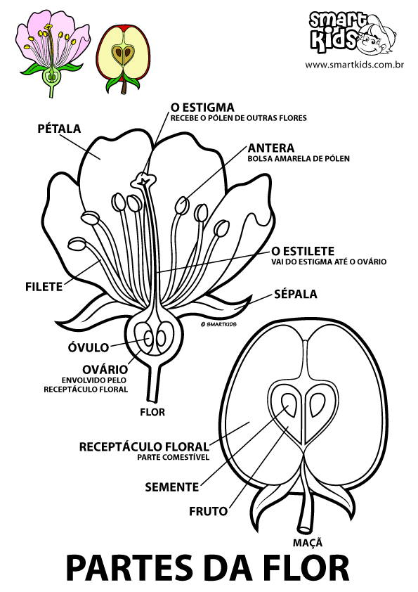 "Professora Flávia": Abril 2014
