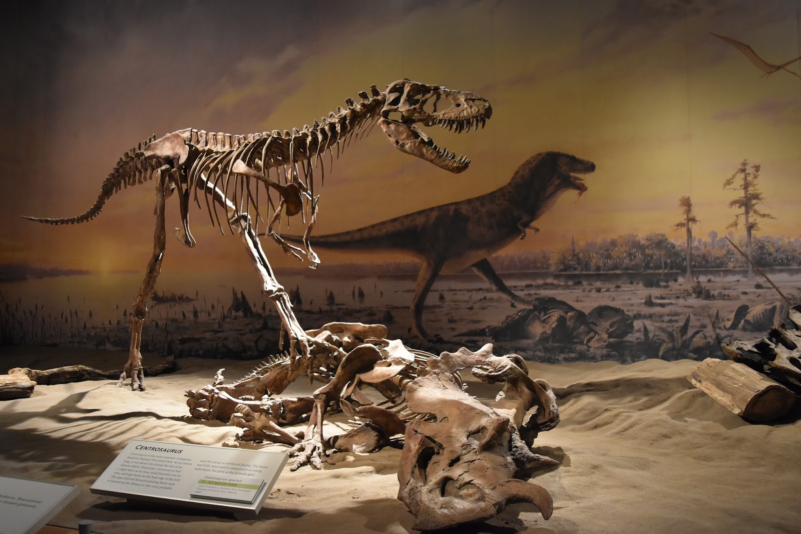 Wild Wanderings: Drumheller: Dinosaur Capital of the World