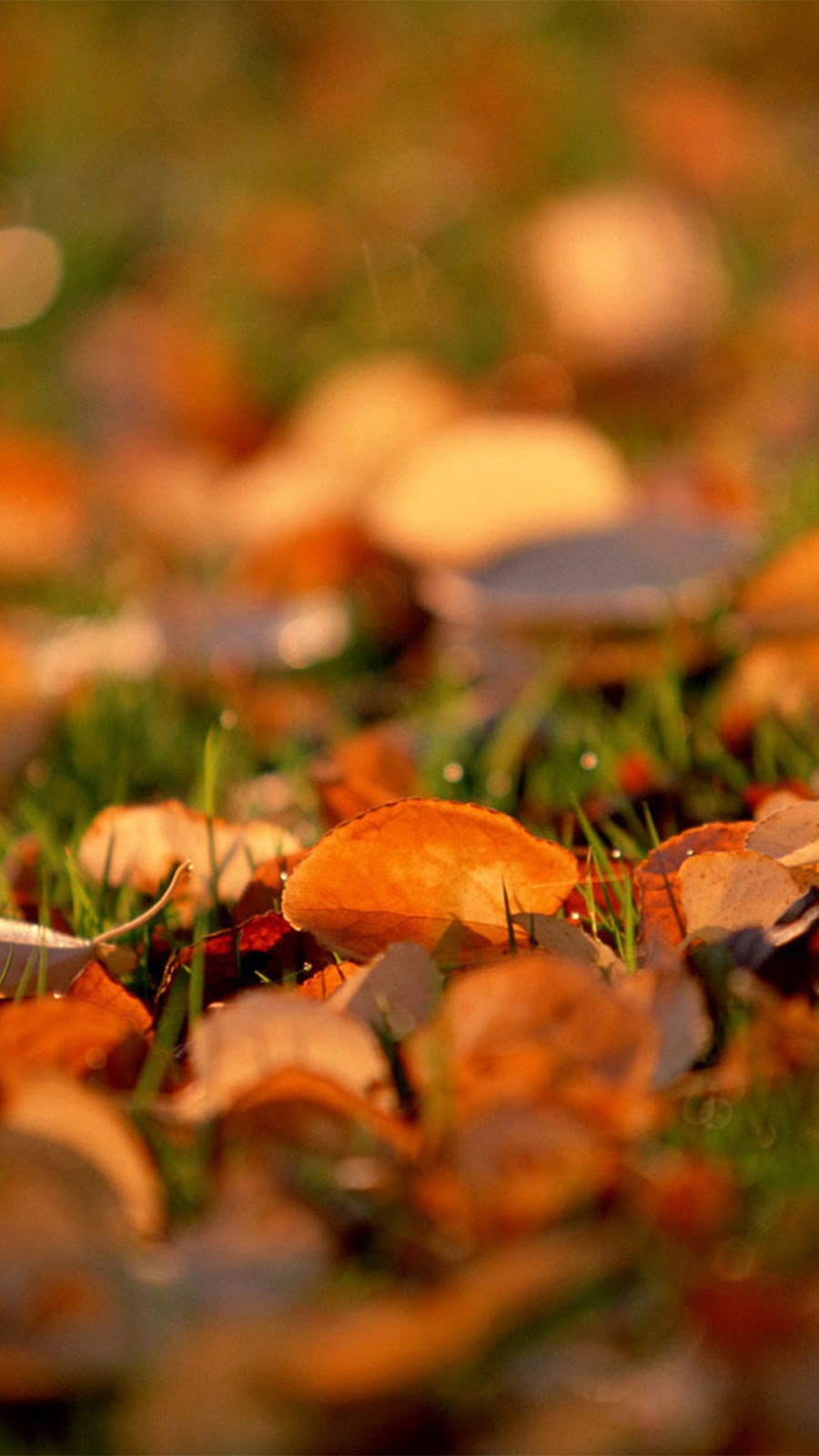 Fondo android pack 188