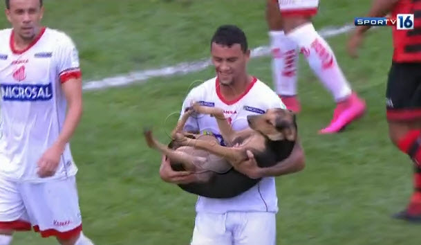 [CON CARIÑO] Perro entra a la cancha en pleno partido de fútbol y es ...