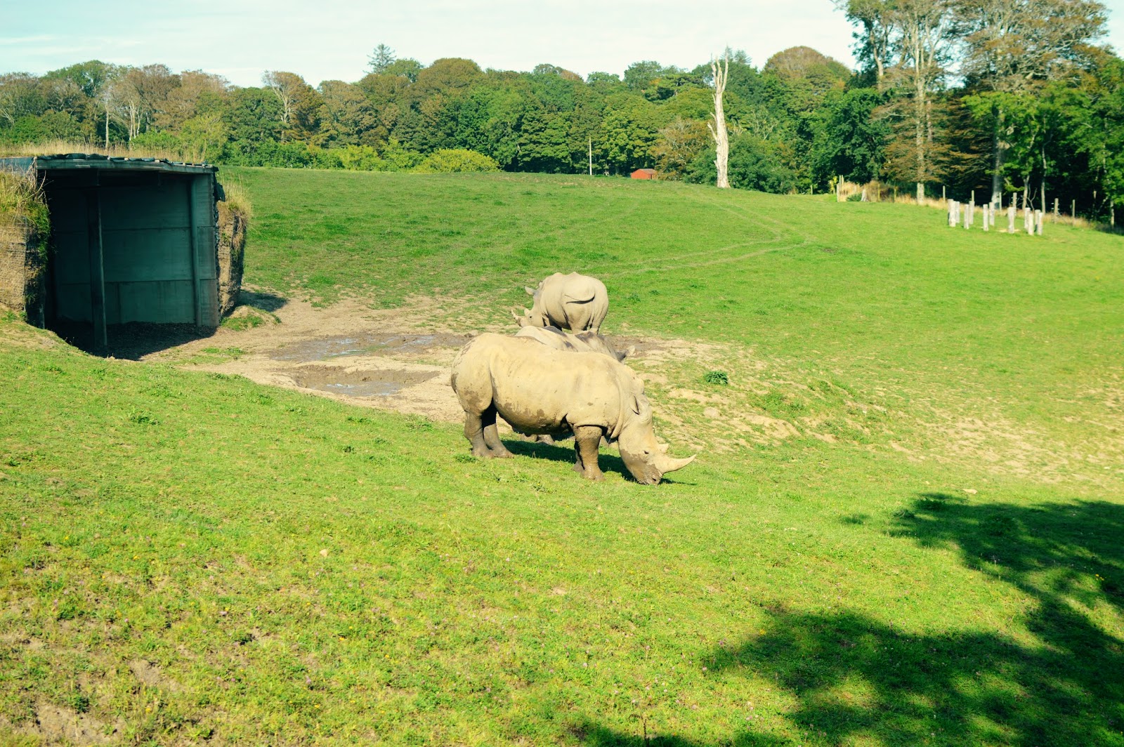 Fifteen Reasons Why We Love: Manor Park (Anna's Welsh Zoo) - Diary of ...