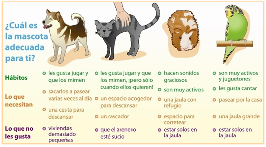 Animus (o el blog de Mentalis): BENEFICIOS DE TENER MASCOTA