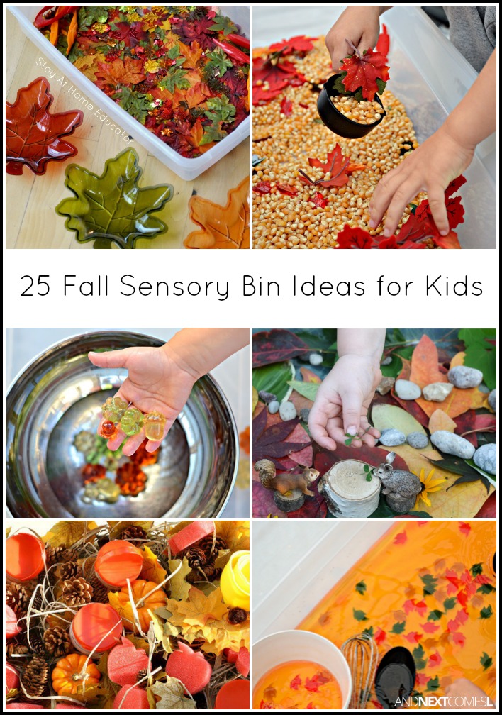 25 Awesome Fall Sensory Bins For Kids And Next Comes L 25-awesome-fall-sensory-bins-for-kids-and-next-comes-l