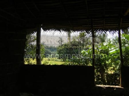 Angampora - Tradtional Sinhalese Martial Art
