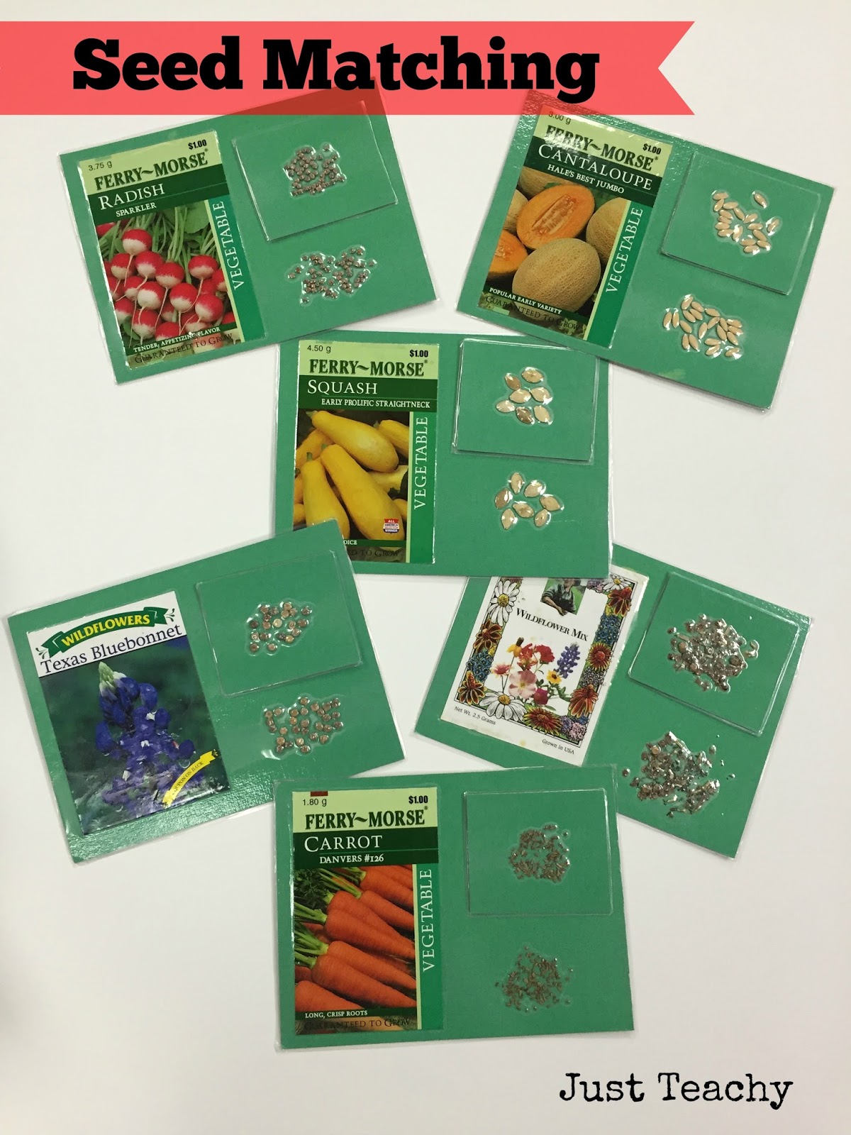 Plants | Just Teachy