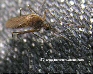 Blog de los Animales: febrero 2016