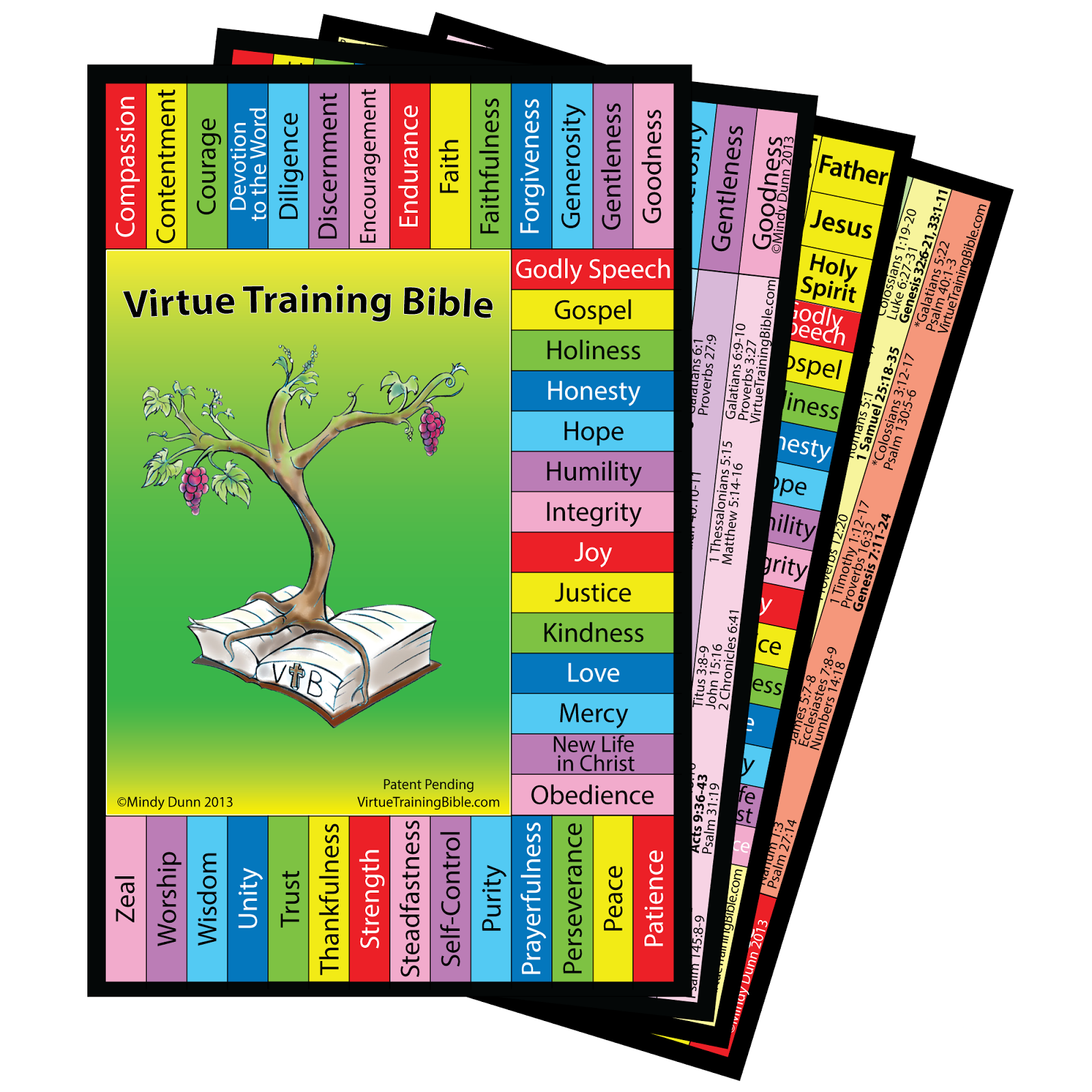 Virtue Training Bible: Order Supplies