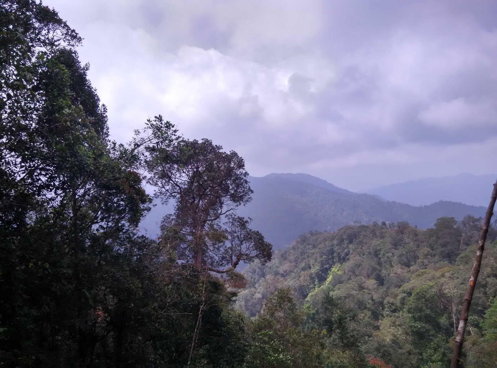 Live, where your heart finds life ツ: GUS: Gunung Gap- Gunung Ulu Tranum ...