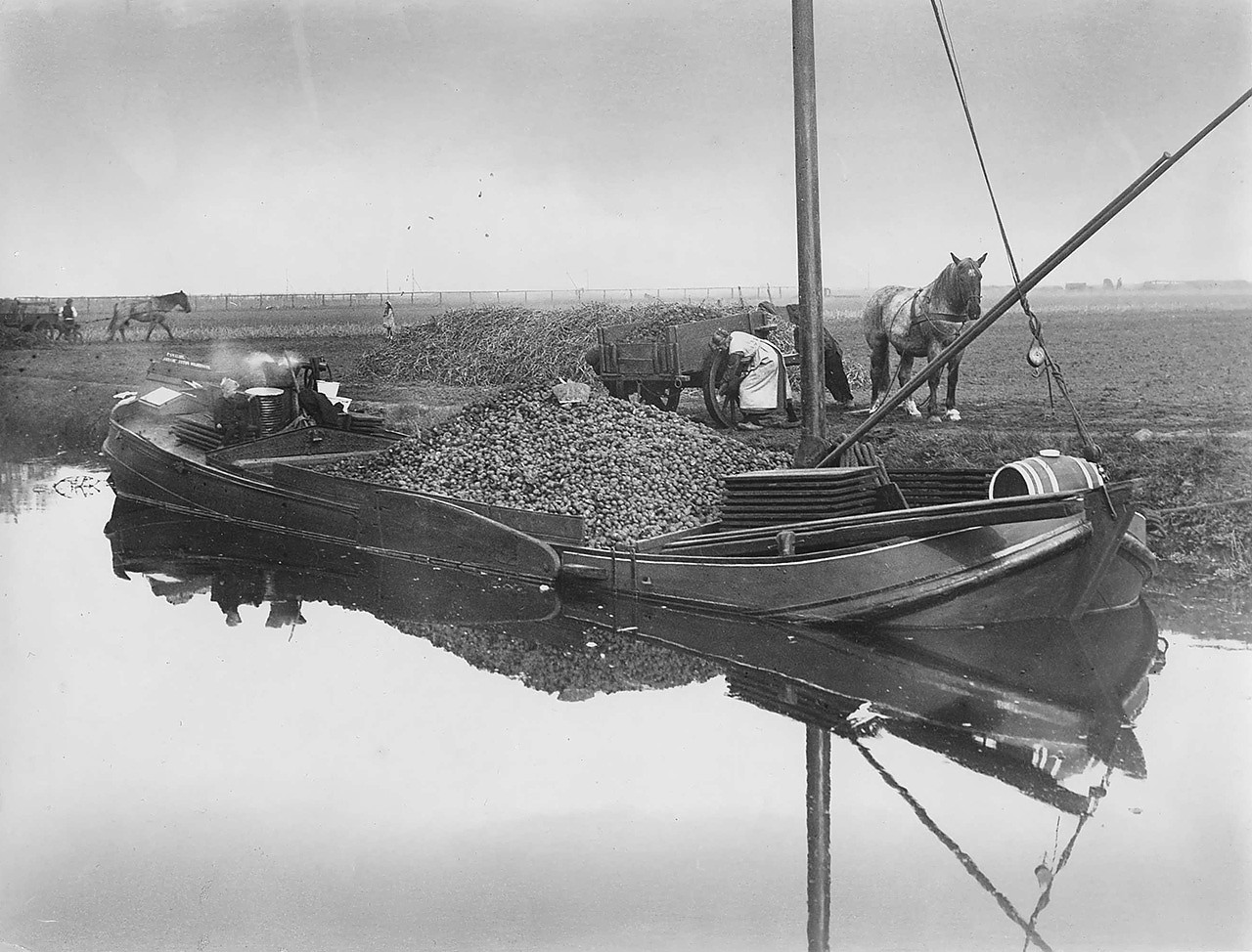 'ZIEN EN WETEN': PRAAM.