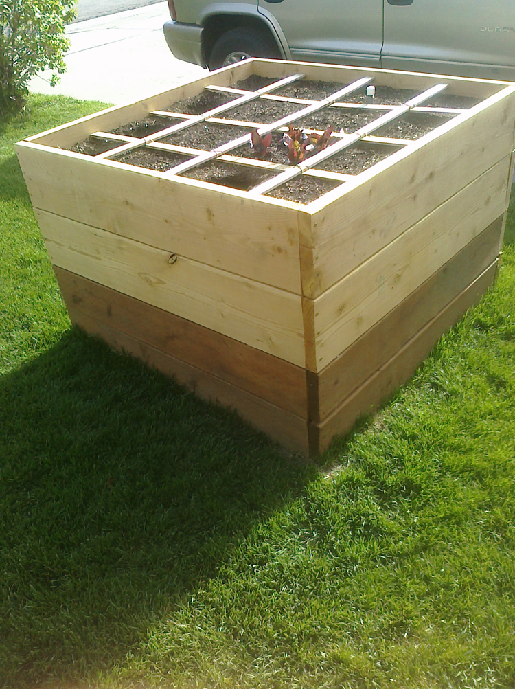 Backyard Farming: My Square Foot Gardens