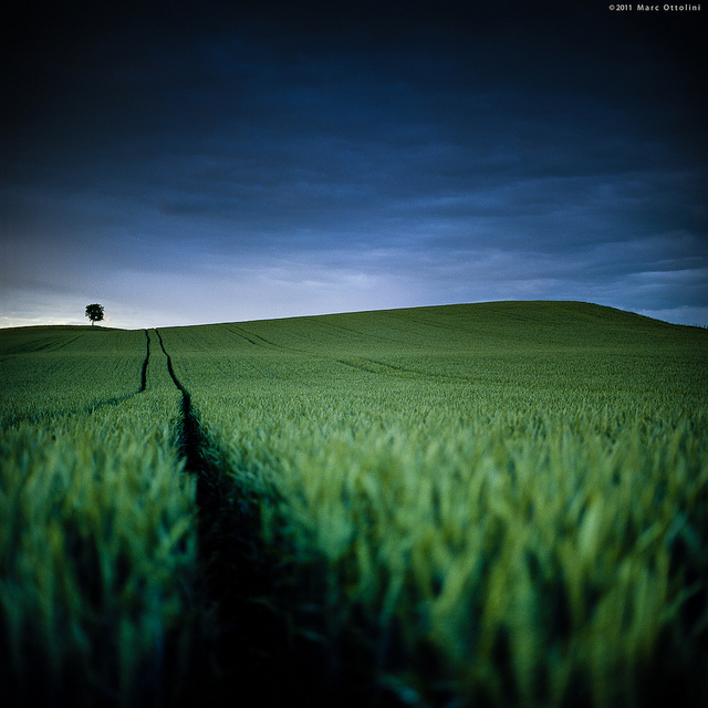 Beautiful Green Landscape Analogue Photos | Daily Pictur