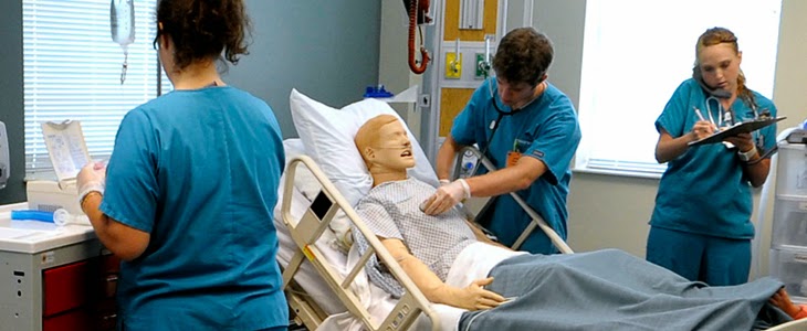 Technology in Nursing Education : Interdisciplinary Learning and ...