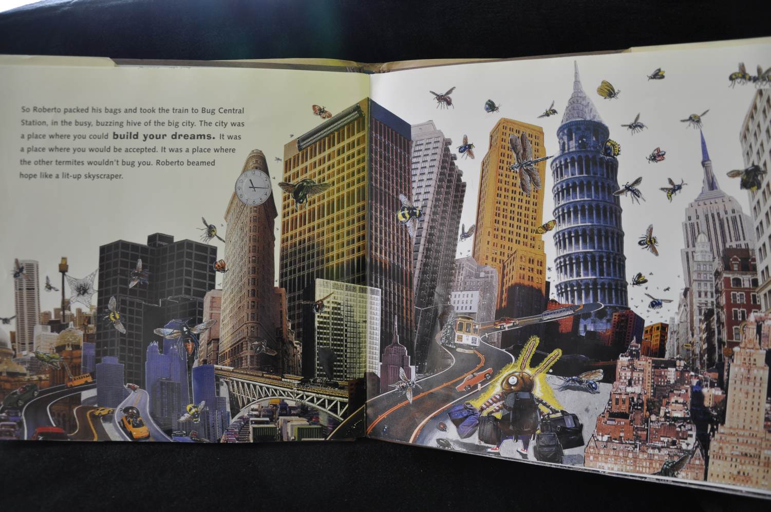 Edventures in Edmonton: Book: Roberto The Insect Architect