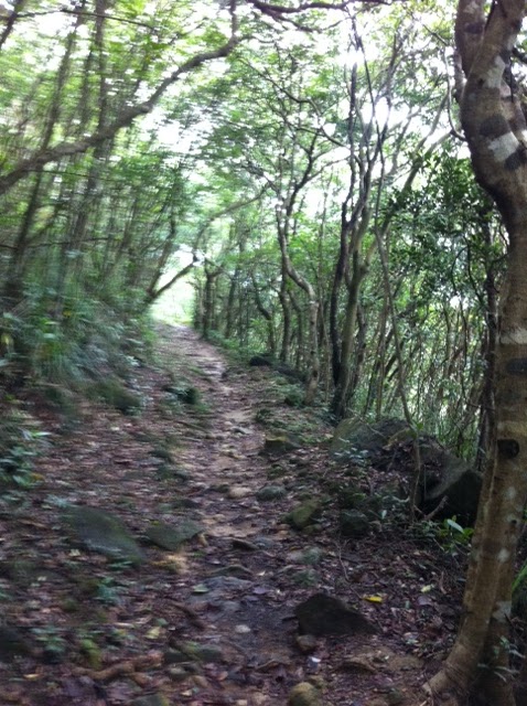 Kami's Blog: Snakes Alive!!!