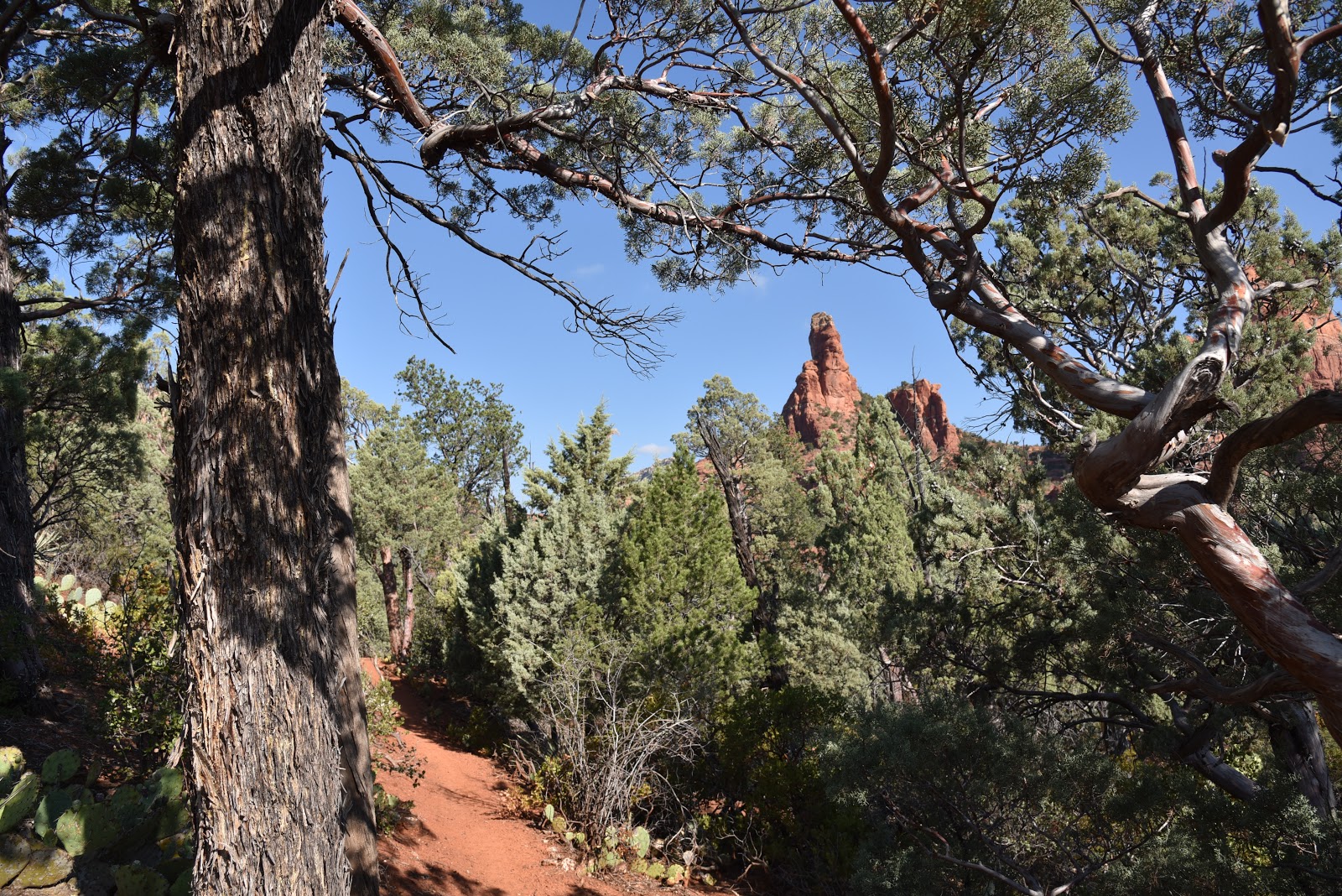 Arizona Hiking: ANT HILL LOOP