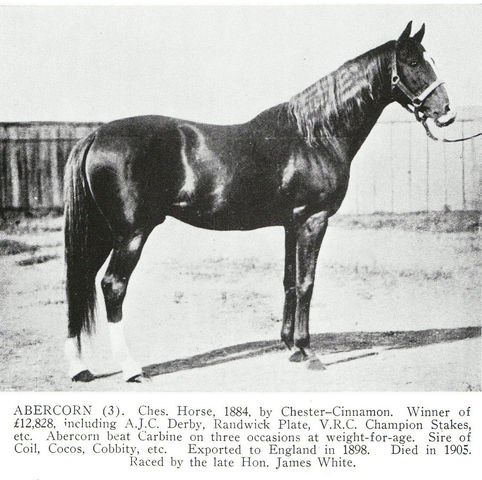 The History Buff: Trainer of Champions.