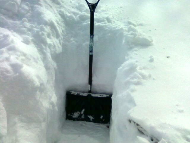 The Middletown Insider: Three Feet of Snow in My Yard