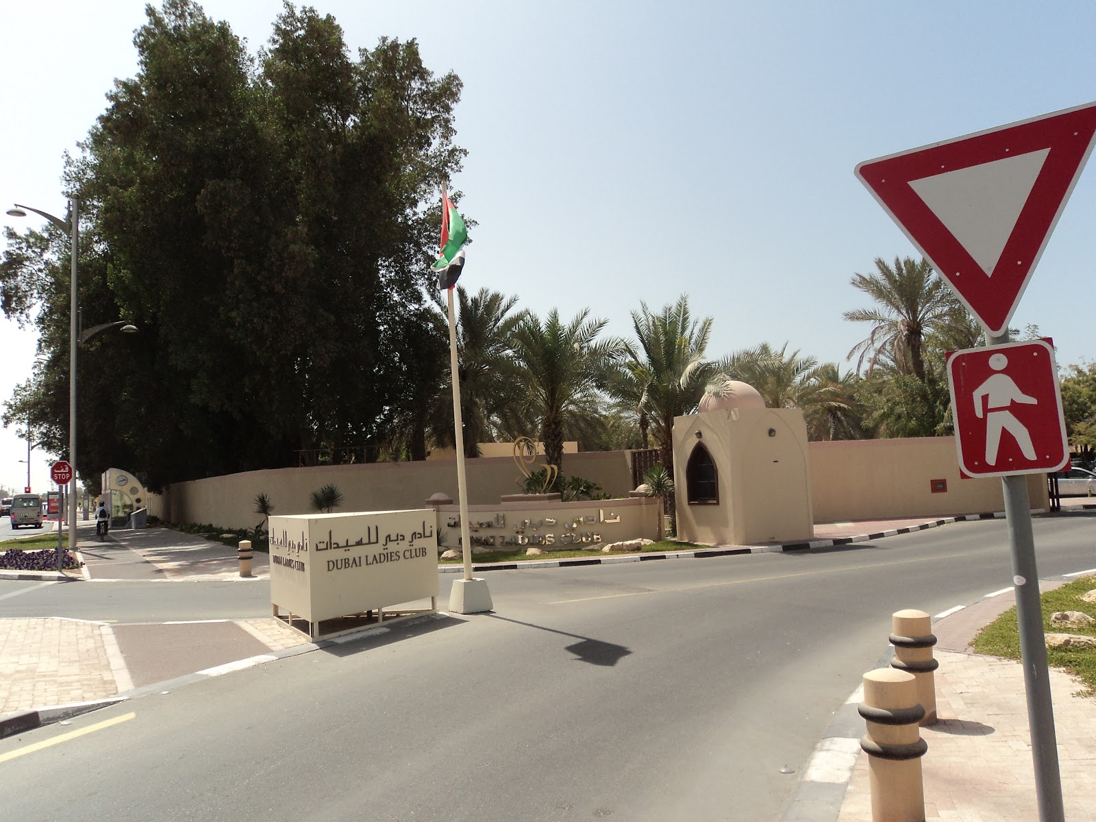 Oriental Adventures: Dubai Ladies Club