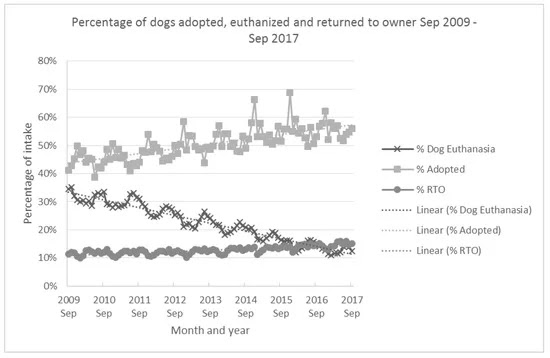America’s Changing Relationship with the Pet Dog