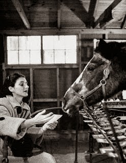 zagadkowe zjawiska i ciekawostki świata: Koń, który przepowiadał ...